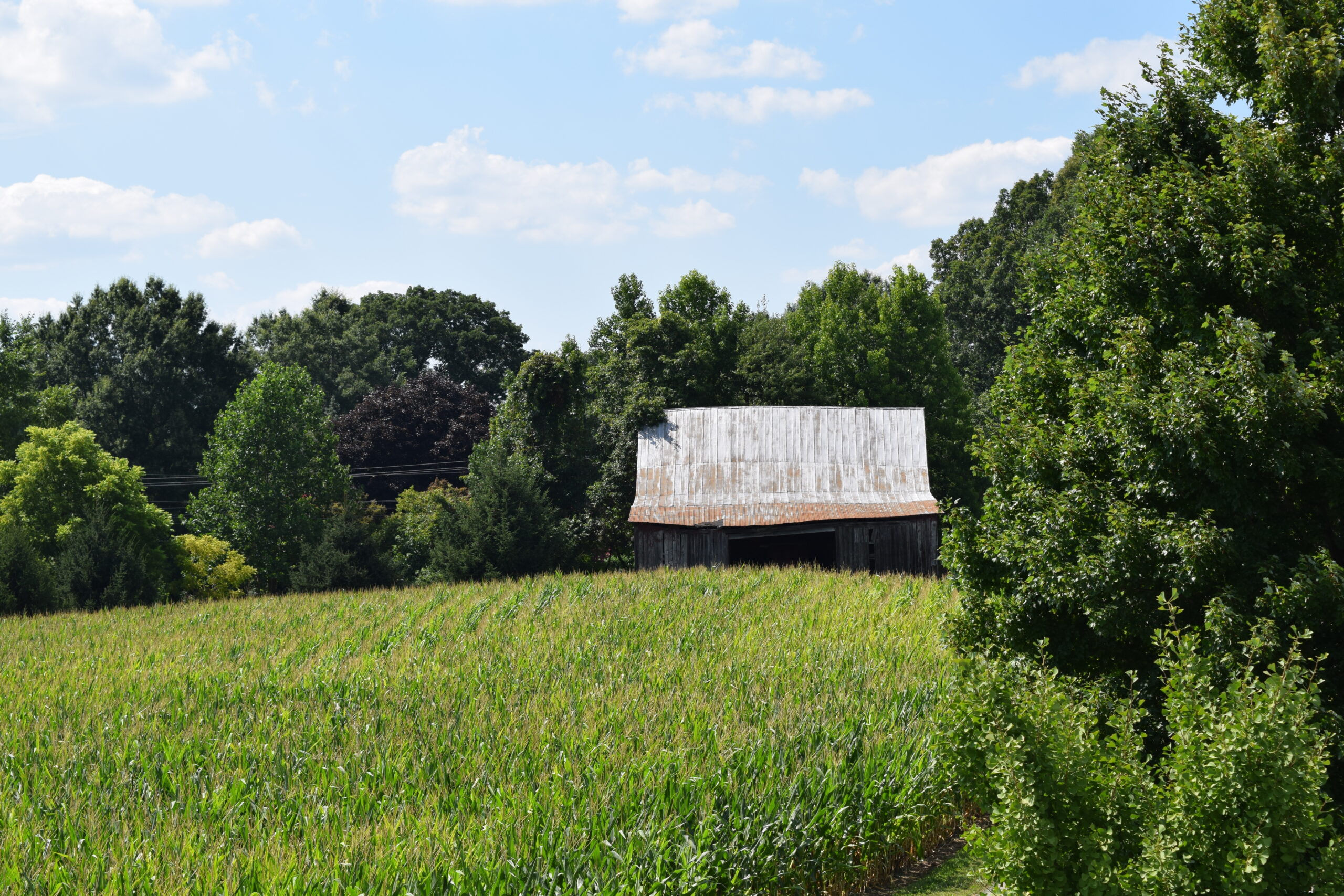 About Tobacco Barn Distillery | Maryland’s Historic Bourbon Makers